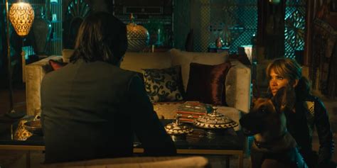 12 سکانس برتر اکشن در سری جان ویک