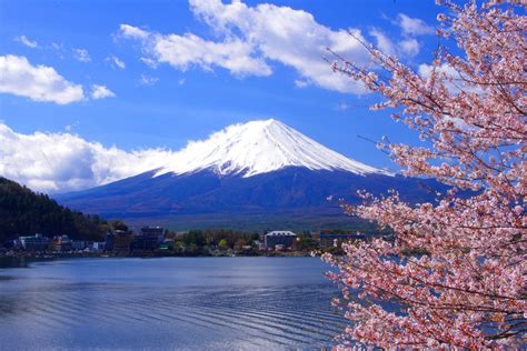 日本の風景桜と富士山壁紙1920x1280 壁紙館