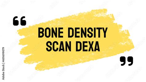Bone Density Scan DEXA Medical Test To Assess Bone Density Stock Vector Adobe Stock