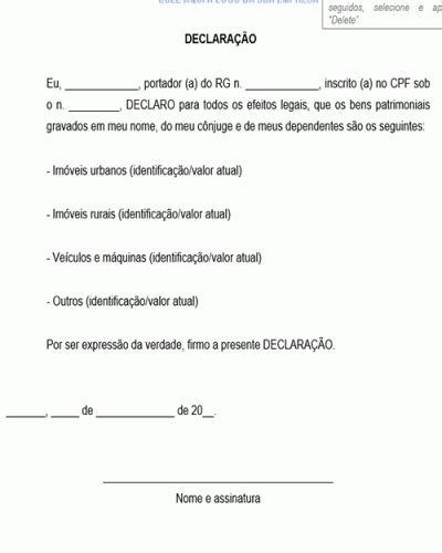 Modelo Declara O De Bens Simples