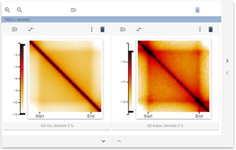 Quick Start With Example Data Hicognition