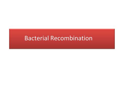 Solution Bacterial Recombination Lec 2 Studypool