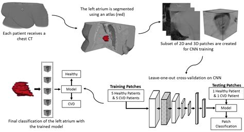 deep learning for cardiac disease prediction quantitative bioimaging