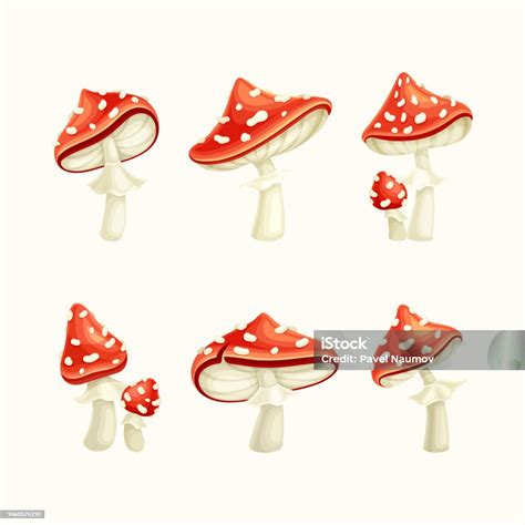 비행 Agarics 세트의 세트입니다 귀여운 Amanita Muscaria 유독 한 숲 버섯 빨간 얼룩덜룩 한 모자 벡터 일러스트 레이 션 0명에 대한 스톡 벡터 아트 및