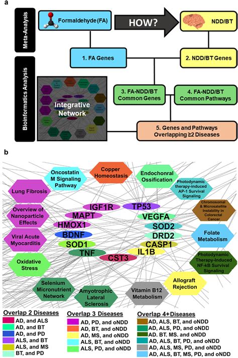 Of Bioinformatics Analysis Approach A Definitions Of Numbers Are