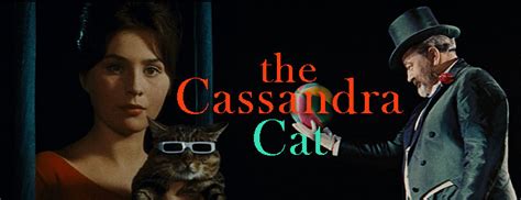 The Cassandra Cat