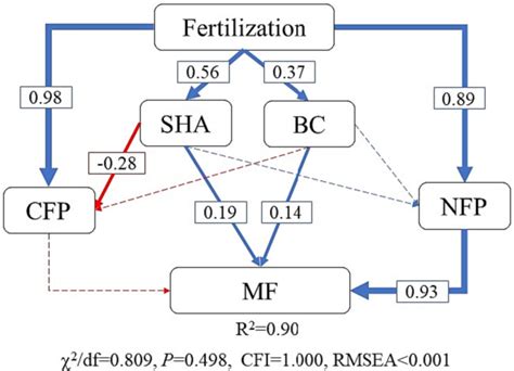 Structural Equation Model SEM Analysis Of Potential Causal Effects Of Download Scientific