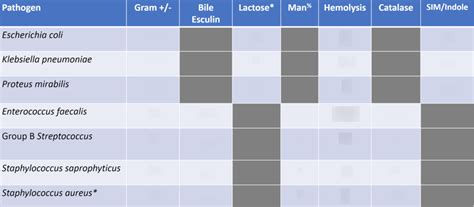Pathogenic Microbiology Lab Diagram Quizlet