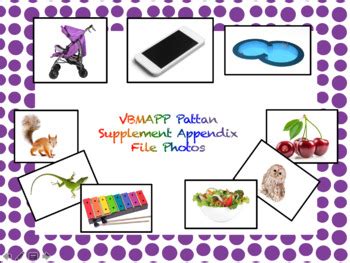 VB MAPP Bonus Photo Files Autism ABA TpT