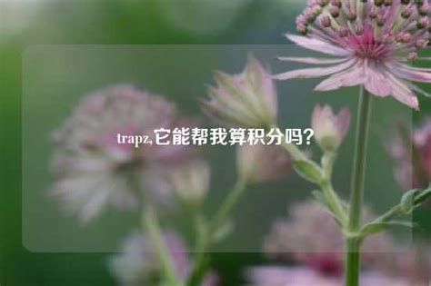 Trapz它能帮我算积分吗？ 吉云网