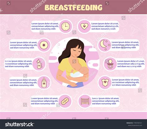 Breastfeeding Infographicsvector Illustration Template Flat Style Stock