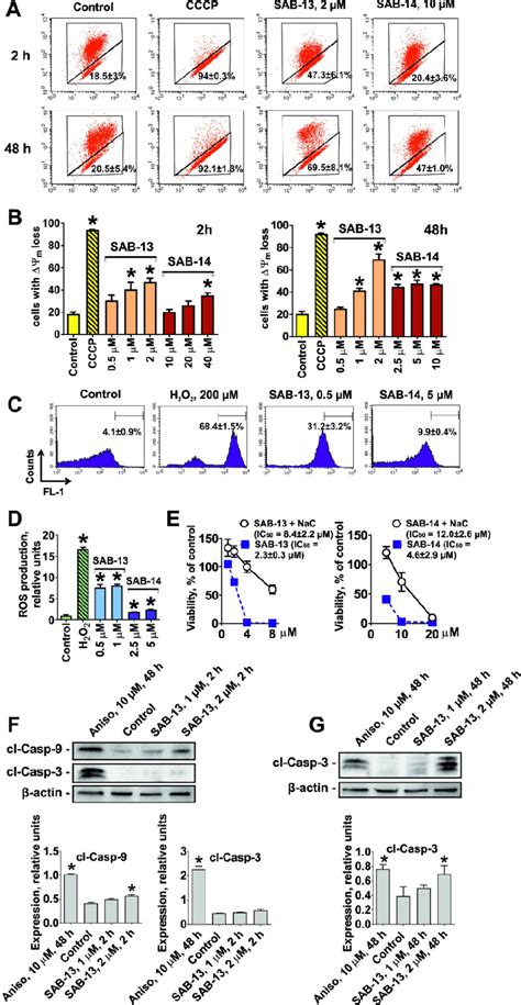 Effect Of Sab 13 And Sab 14 On Mitochondrial Membrane Potential And Ros
