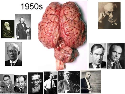 Autoencoders Unsupervised Learning And Deep Architectures P Baldi