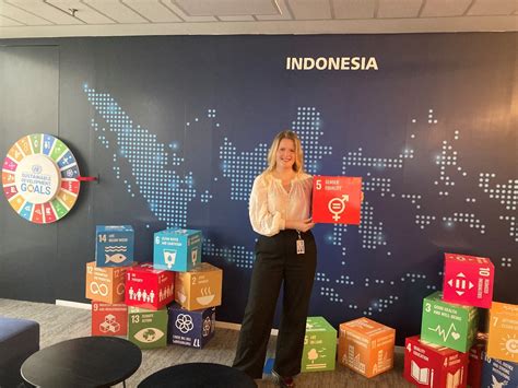 Working Towards Gender Responsiveness And Sustainable Development Targets UNV