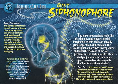 Giant Siphonophore Wierd Nwild Creatures Wiki