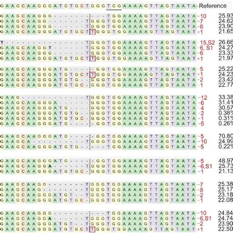 Distribution Of The Most Common Gene Mutation Types Identified With Download Scientific Diagram