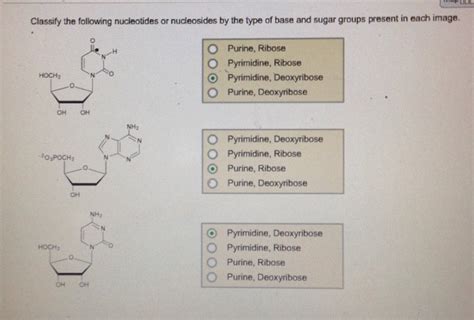 Solved DNA Has Unique Properties That Allow It To Accurately Chegg