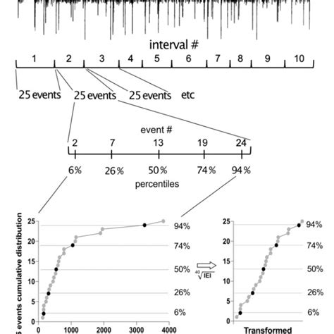 Partitioning Of Epscs Raw Download Scientific Diagram