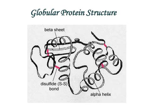 Ppt Advancing Theoretical And Computational Research In Polymer