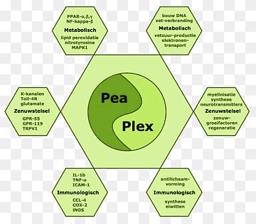 Palmitoylethanolamide png images | PNGWing