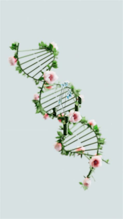 Sustainable Facade Claddings For Green Buildings Aural Aid