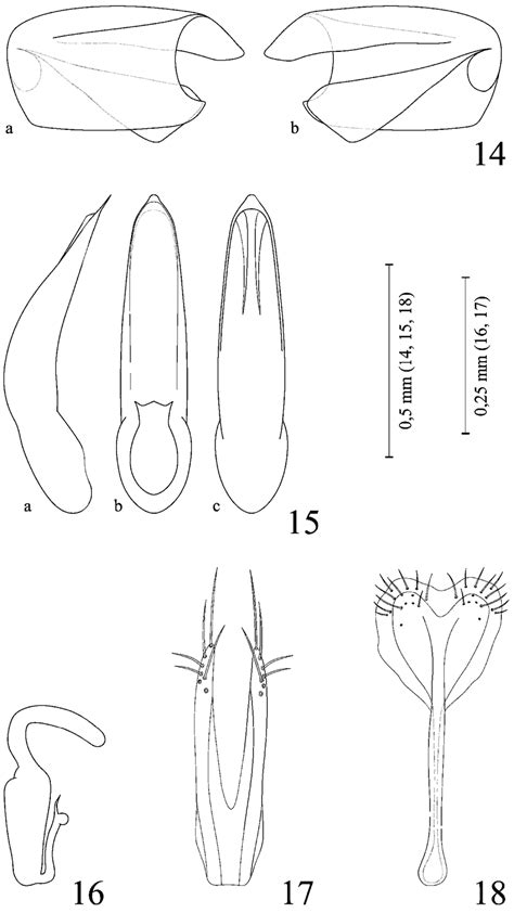 Box Wiskers Plots Mean Standard Deviation Minmax For The Variables Download Scientific