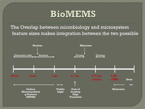 Ppt Mems For Biomedical Applications Powerpoint Presentation Free Download Id 2031988