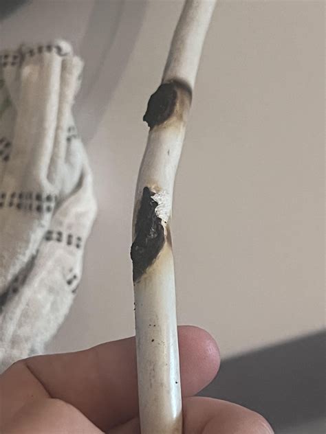 How To Fix A Burnt Power Cord R Howto