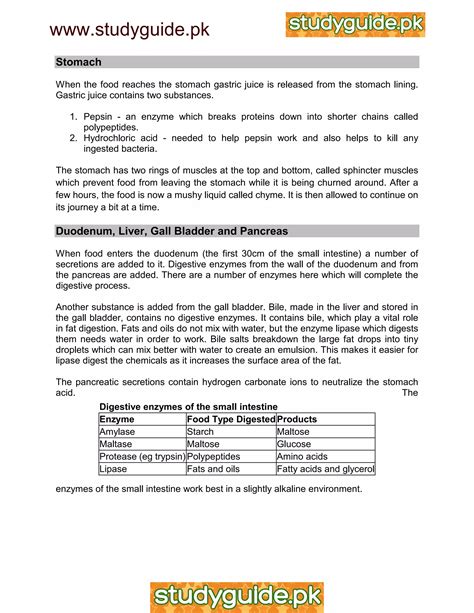 Igcse Biology Revision Notes Pdf