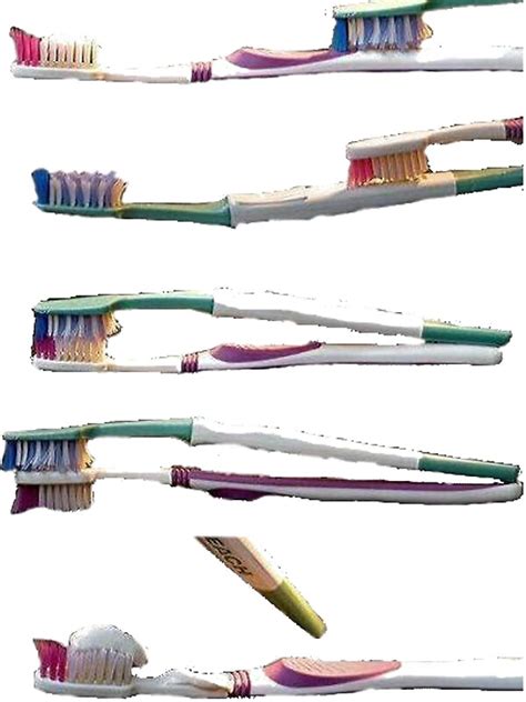 Toothbrush Sex Still Life Can Be Naughty Too Stickers By Gb Redbubble