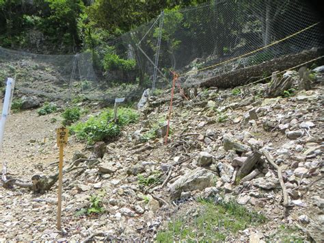 獅子ヶ岳 標高733m 度会町公式ホームページ