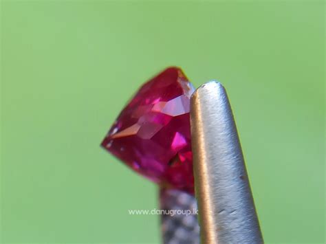 Ceylon Ruby Danu Group
