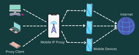 Understanding Different Types Of Proxies Residential Isp Datacenter