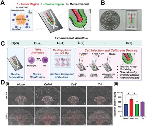 Schematic Overview Of The TOC Experimental Workflow And Results From Download Scientific