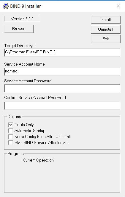 在 Windows 上使用支援 Edns Client Subnet 的工具 Dig 911 I T 練肖喂
