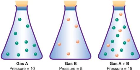 Module 4 Flashcards Quizlet
