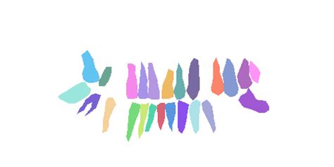 teeth segmentation on dental x ray images dataset ninja