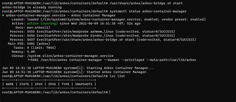 Support For Windows 10 · Issue 1115 · Anboxanbox · Github