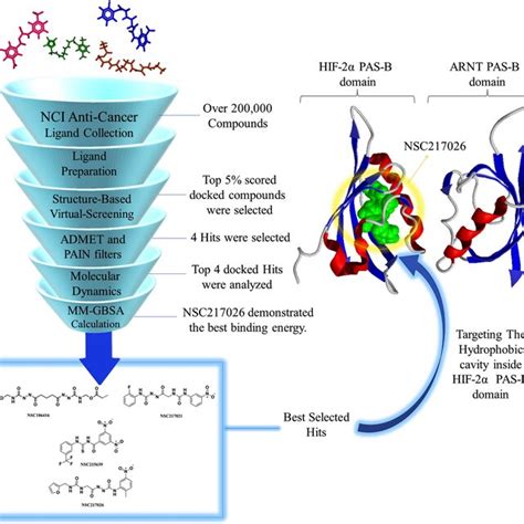 Flowchart Representation Of The Steps Followed For The Vs And Employed Download Scientific