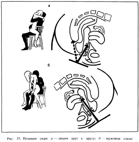 Penis In Vagina Diagram Porn