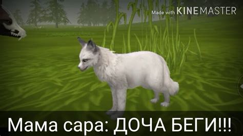 Альбинос - YouTube