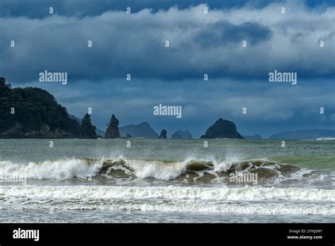 New Zealand North Island Coromandel Peninsula Whitianga Hot Water