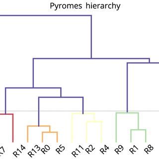 Pyromes Hierarchy A Dendrogram Summarizes The Hierarchy Of The