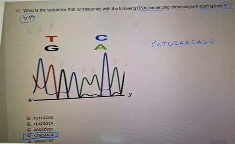 Solved What Is The Sequence That Corresponds With The