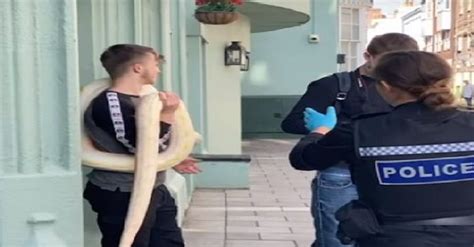 Man Takes 12 Feet Python For A Walk Man Takes 12 Ft Python For A