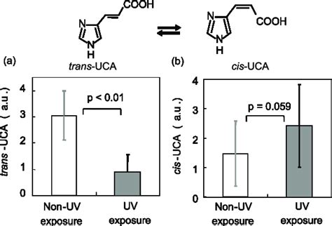 Amounts Of Trans A And Cis Uca B At Non Uv And Uv Exposure Site As