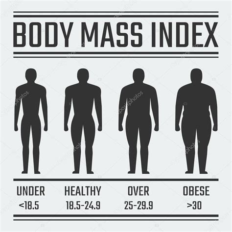 Body Mass Index Illustration — Stock Vector © Greyj 58991861
