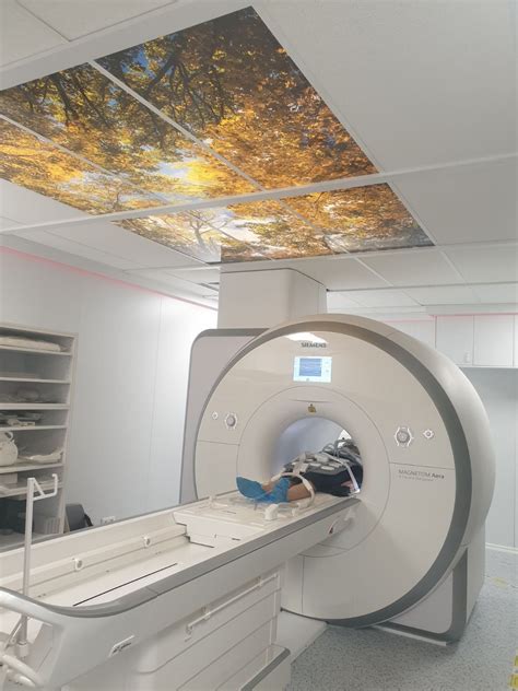 ЯДРЕНО МАГНИТЕН РЕЗОНАНС