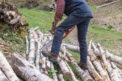 톱밥으로 뒤덮인 노인 나무꾼은 숲에서 전기톱으로 장작을 자르는 것이다 70 79세에 대한 스톡 사진 및 기타 이미지 70
