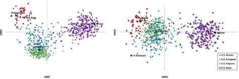 Two Dimensional Plots Of The First Dimension Second Dimension And